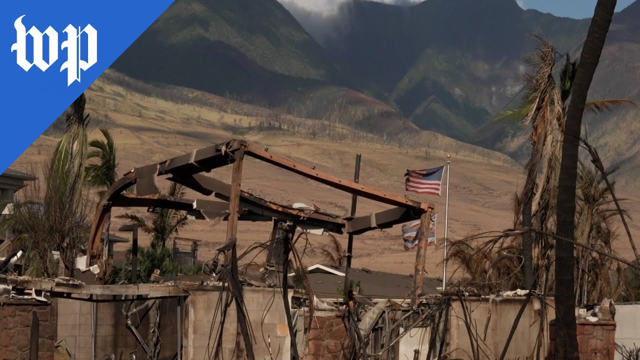 On Maui, criticism grows over disaster response to wildfires - The ...