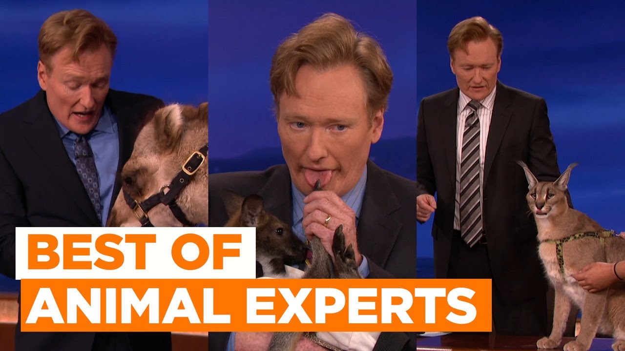 Best Of Animal Experts: Camel & Caracal | CONAN on TBS - The Global Herald