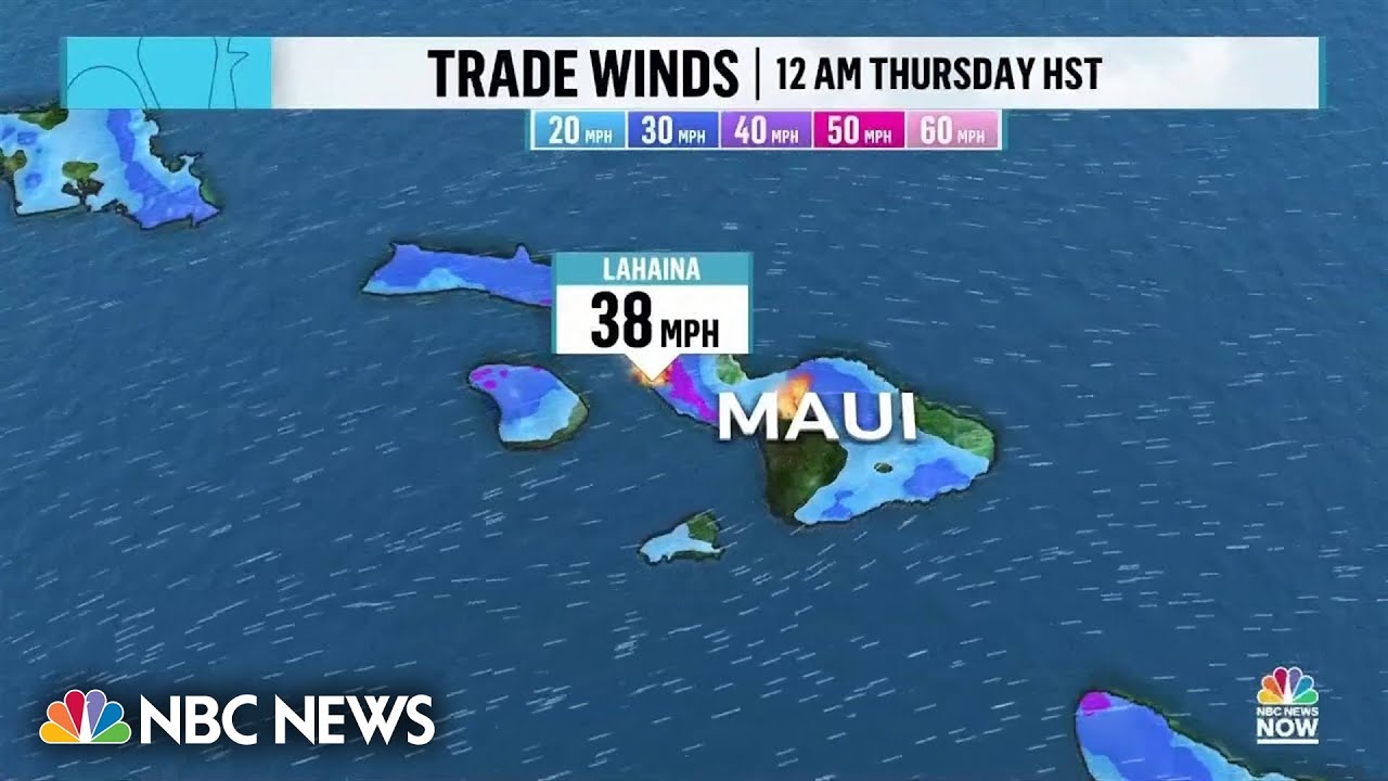 When could the strong winds that are fueling the Maui wildfires subside ...