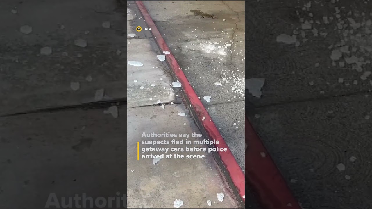 Raw video captures a mob of thieves swarming a Nordstrom store in Los ...