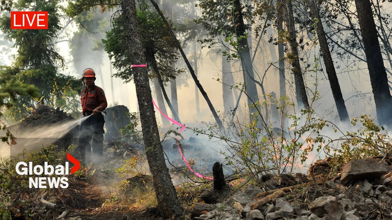 BC wildfires: Okanagan wildfire officials provide update as phased ...