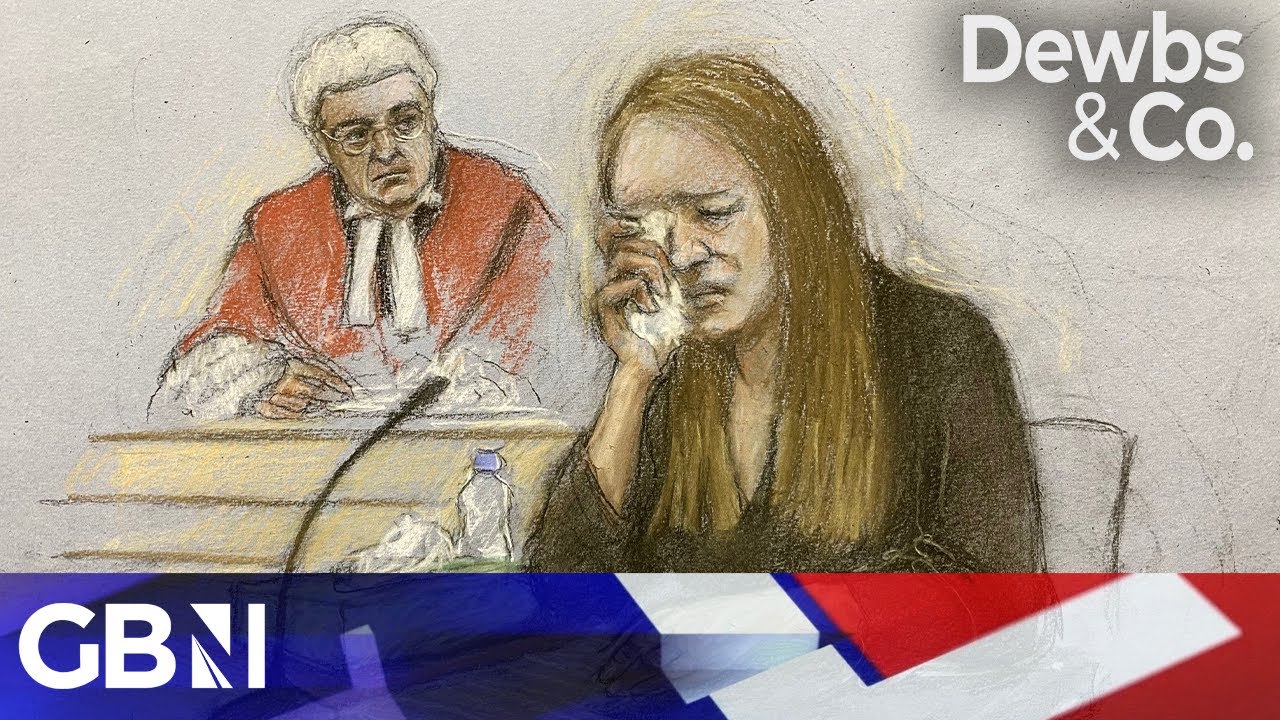 ‘This is PROOF!’ | Lord Daniel Moylan says Lucy Letby case is a show of ...