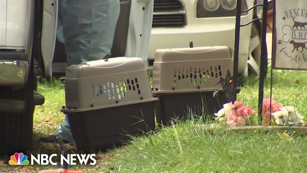 Two charged with animal cruelty after dozens of dead dogs found in New ...