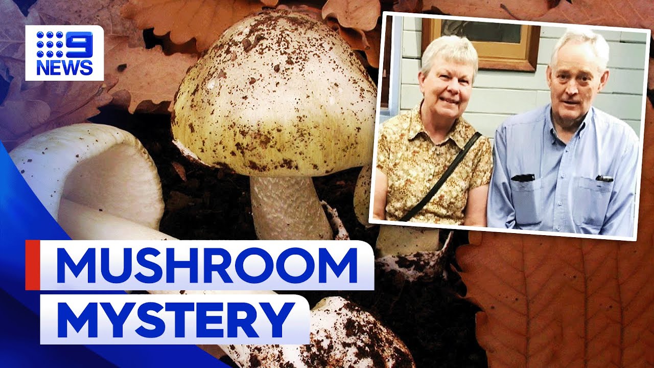 Homicide Detectives Investigate Suspected Wild Mushroom Poisoning In