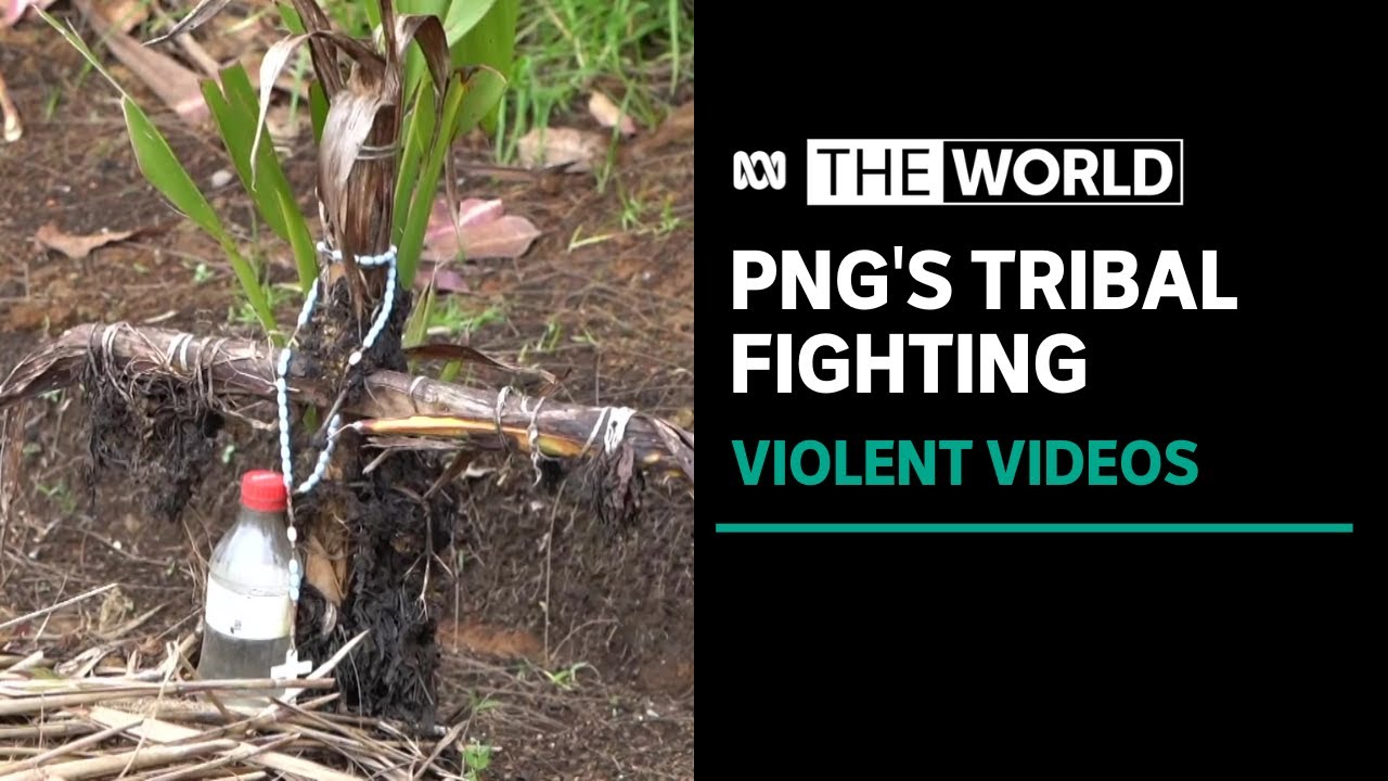 Dozens killed in tribal fighting in Papua New Guinea | The World - The ...