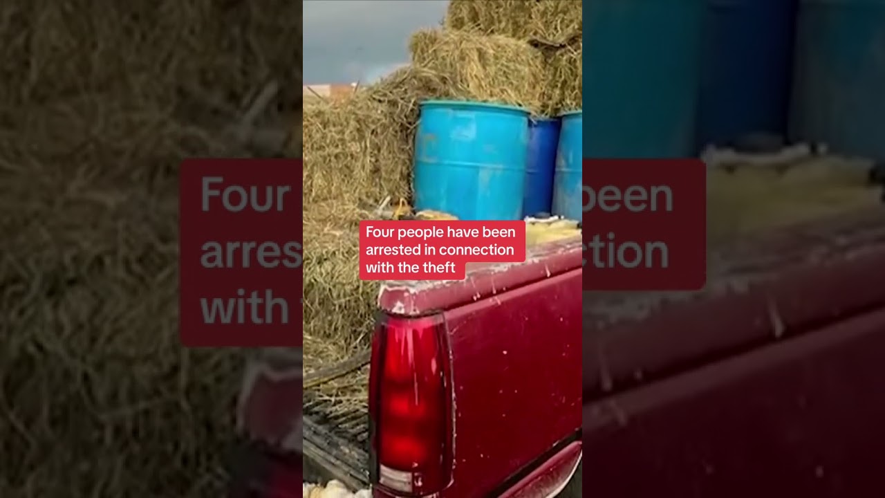 Hidden tunnel used to steal gasoline from pipeline - The Global Herald