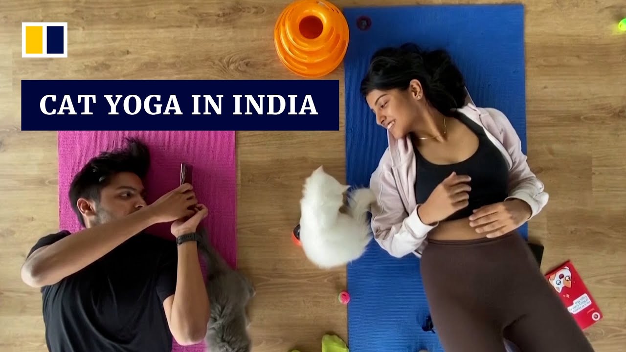 Paws and poses: New Delhi's yoga class brings joy and serenity - The ...
