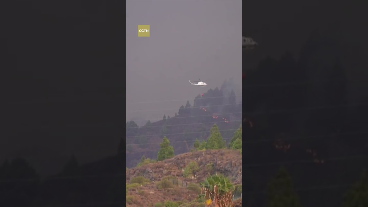 A raging fire has devastated 800 hectares in the Canary Islands - The ...