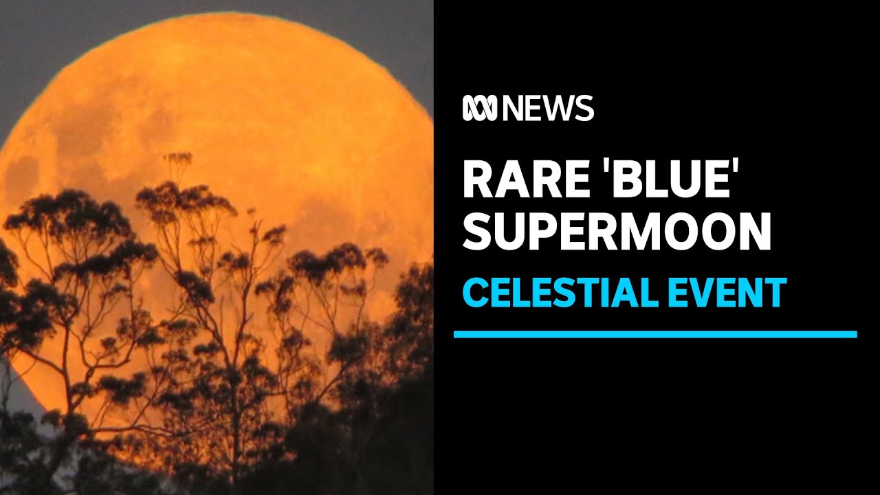 Rare 'blue' supermoon illuminates the night sky | ABC News - The Global ...