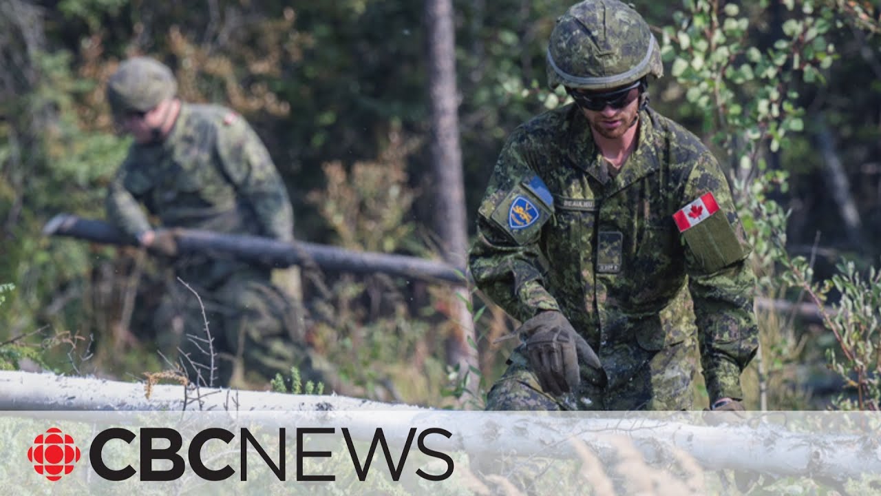 Ottawa promises support in dealing with wildfires, evacuations - The ...