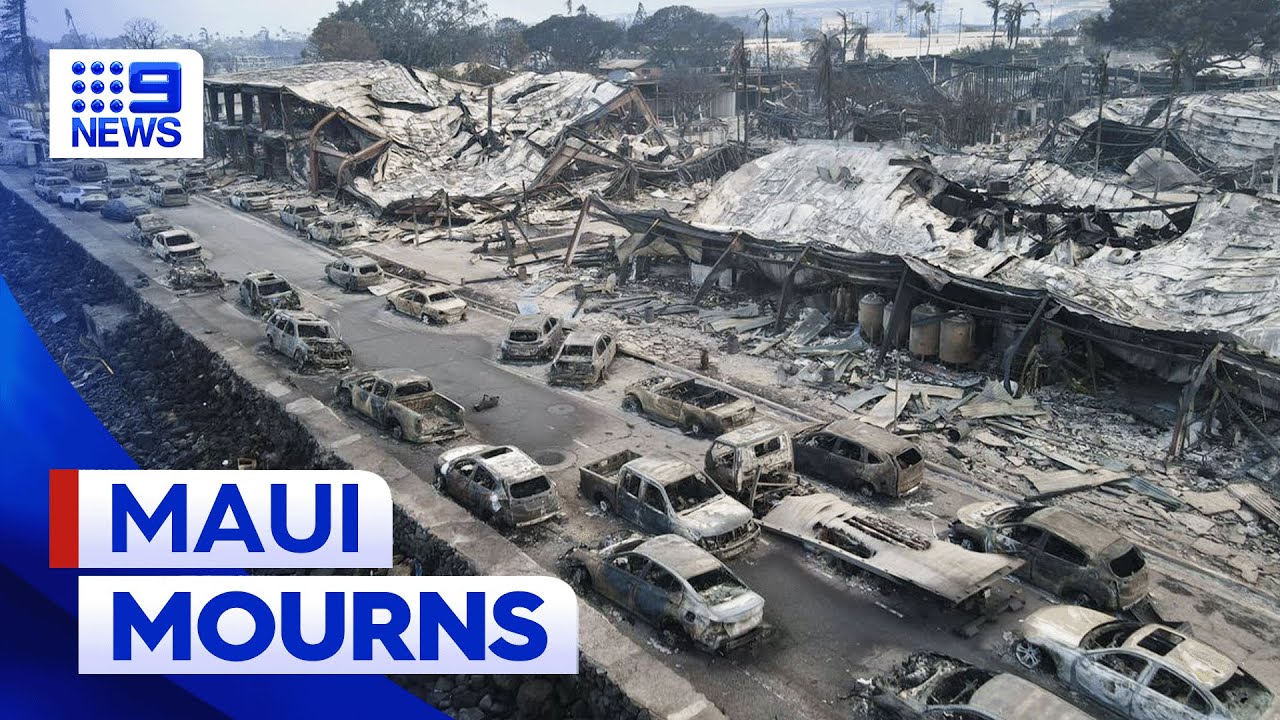 Hawaii fires labelled one of the ‘largest natural disasters’ in state’s ...