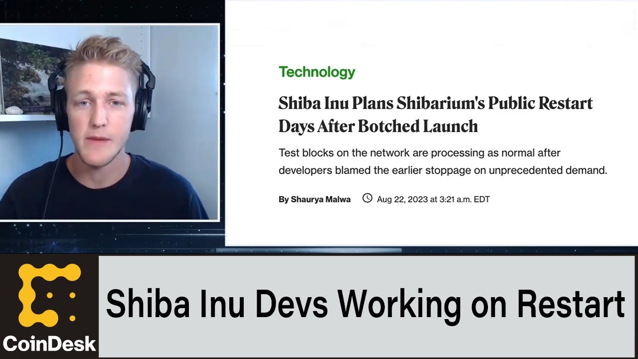 Shiba Inu Developers Work Towards Shibarium's Public Restart Days After ...