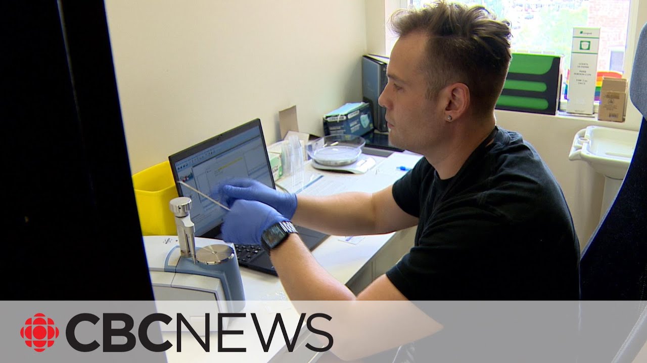 New drug-checking site lets people 'know what’s in their substances ...