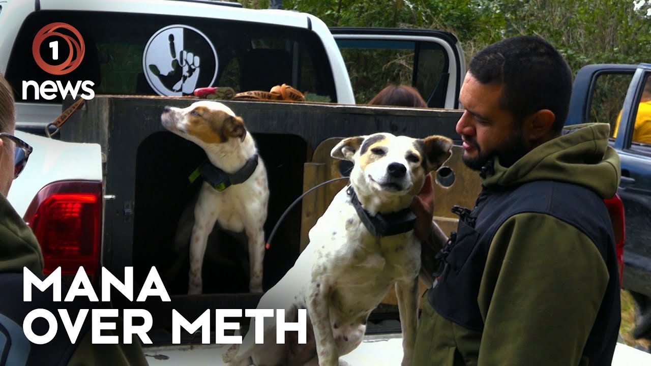 This town has some of NZ’s highest meth usage – but that’s changing ...