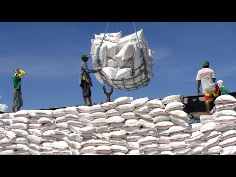 Why Rice Prices Are Soaring in Asia - The Global Herald