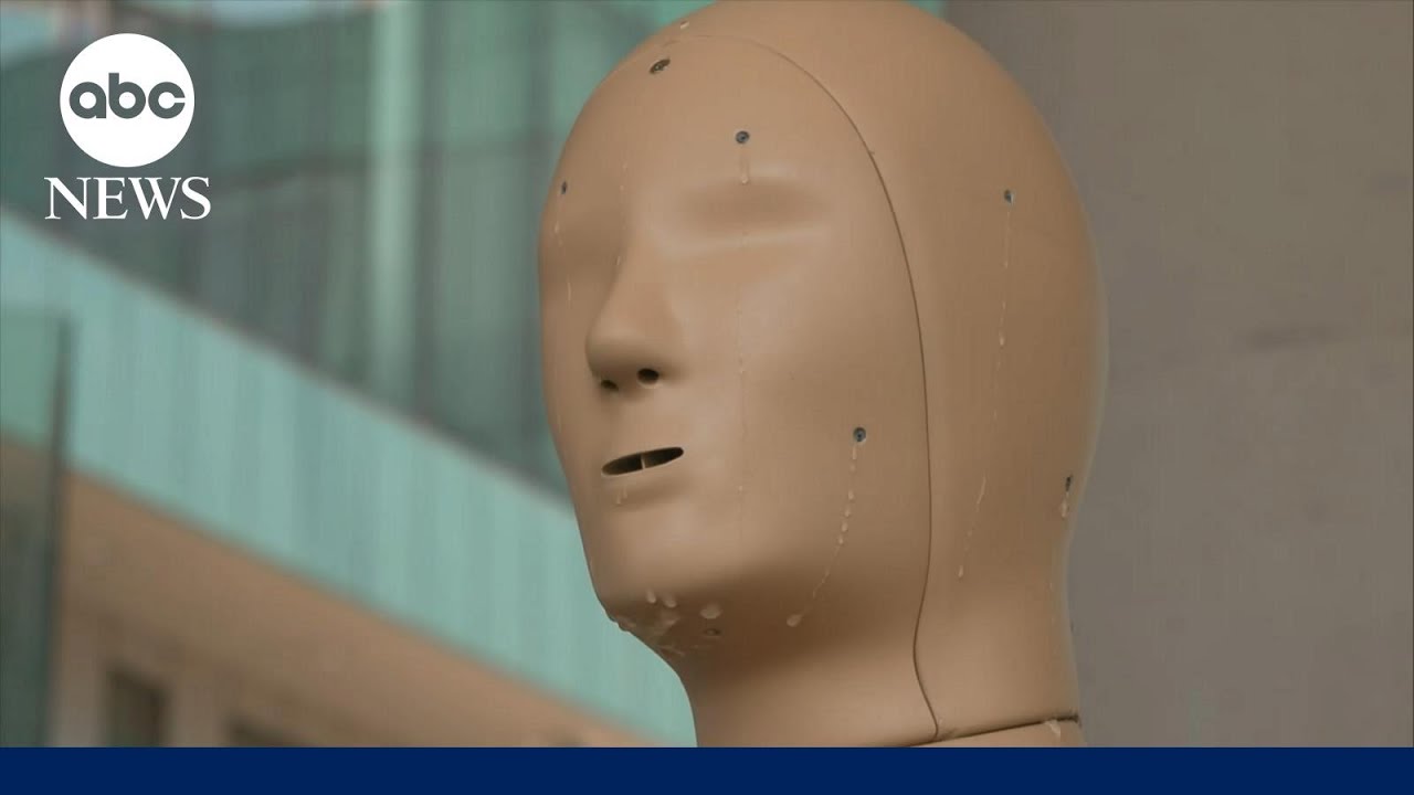 Robots mimic human reactions to extreme heat | GMA - The Global Herald
