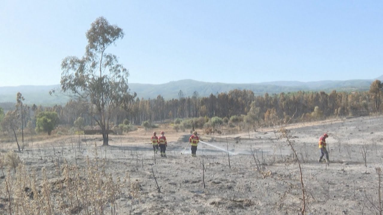 Wildfire ravages over 7,000 hectares in Portugal - The Global Herald