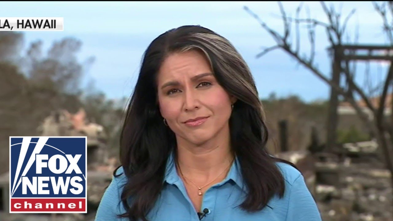 We Need To Convey The Loss In Hawaii Tulsi Gabbard The Global Herald