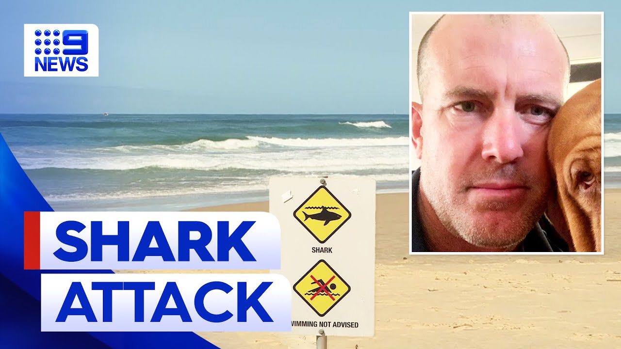 Man in critical condition after shark attack off NSW beach | 9 News ...