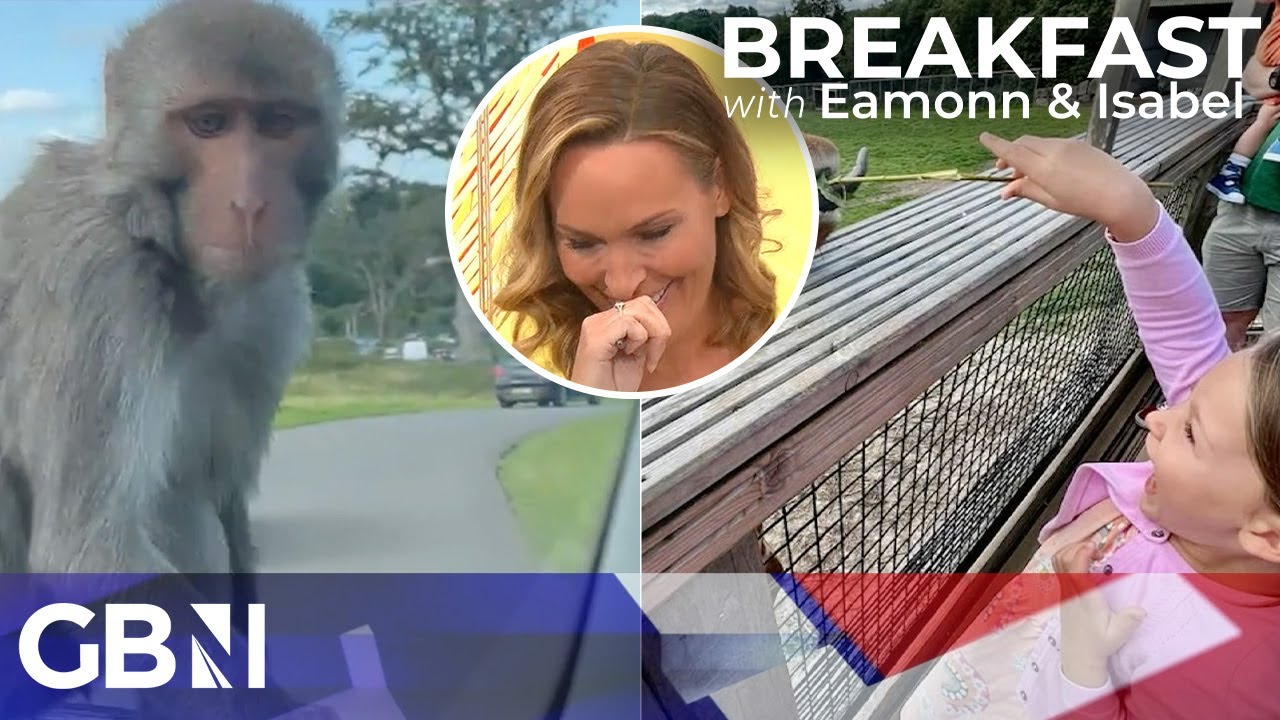 Isabel Webster shares her kid's PRICELESS reaction to having their car ...