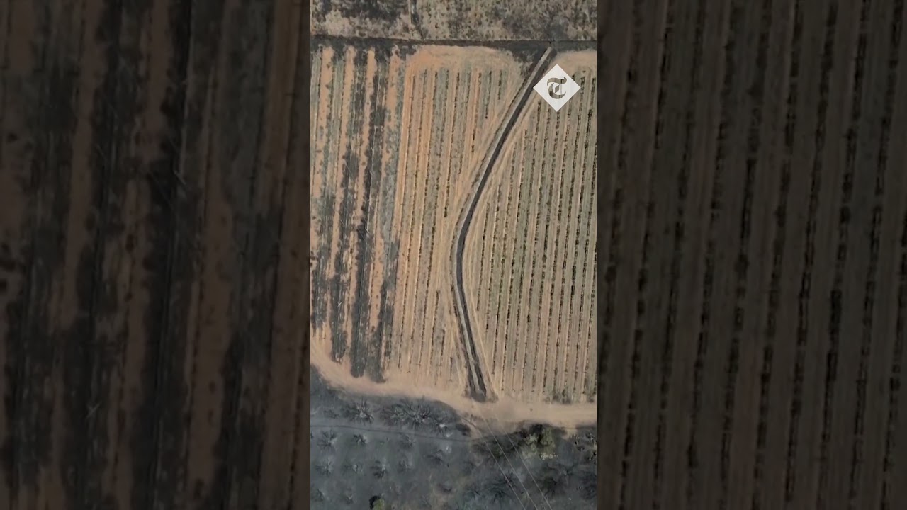 Wildfires aftermath: Homes surrounded by scorched land in Spain - The ...