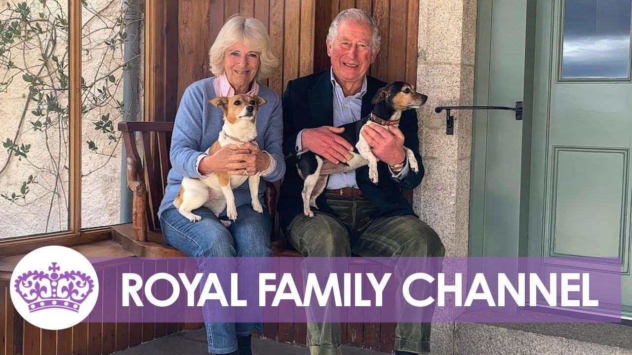 Meet Beth and Bluebell: The King and Queen’s Royal Rescue Dogs - The ...