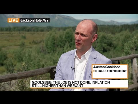 Fed's Goolsbee on Inflation, Wages, Possible Auto Strike - The Global ...