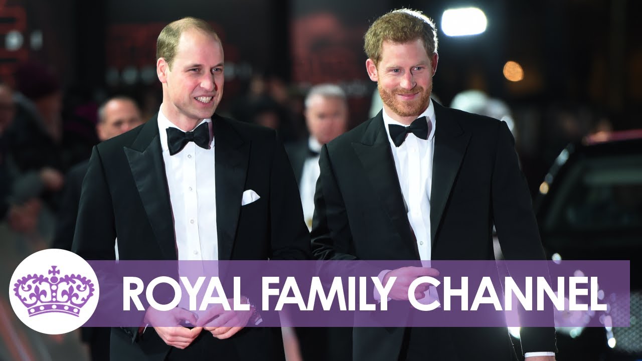 Royal Brothers: The UNBREAKABLE Bond Between Prince William and Harry ...
