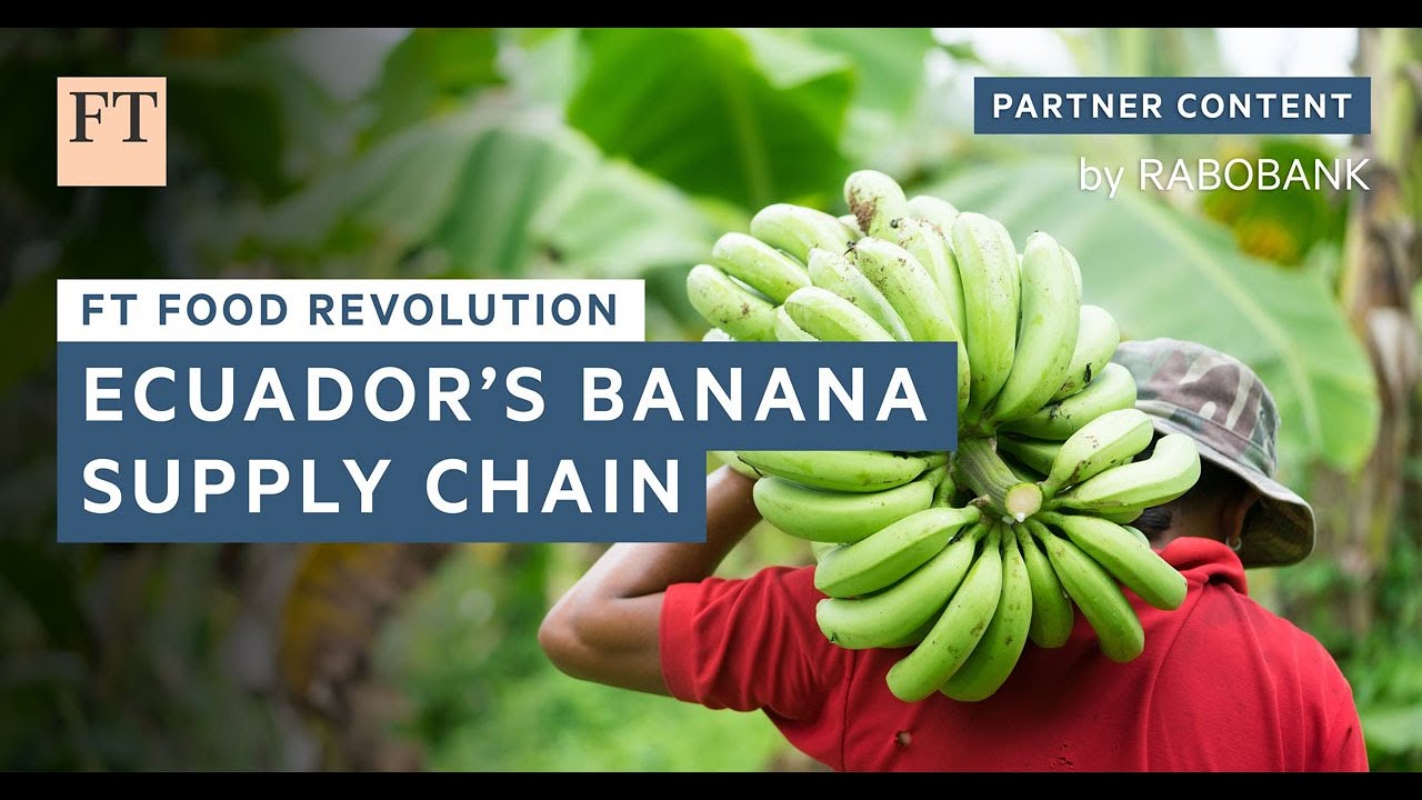 Peeling off the layers of Ecuador's banana supply chain | FT Food ...