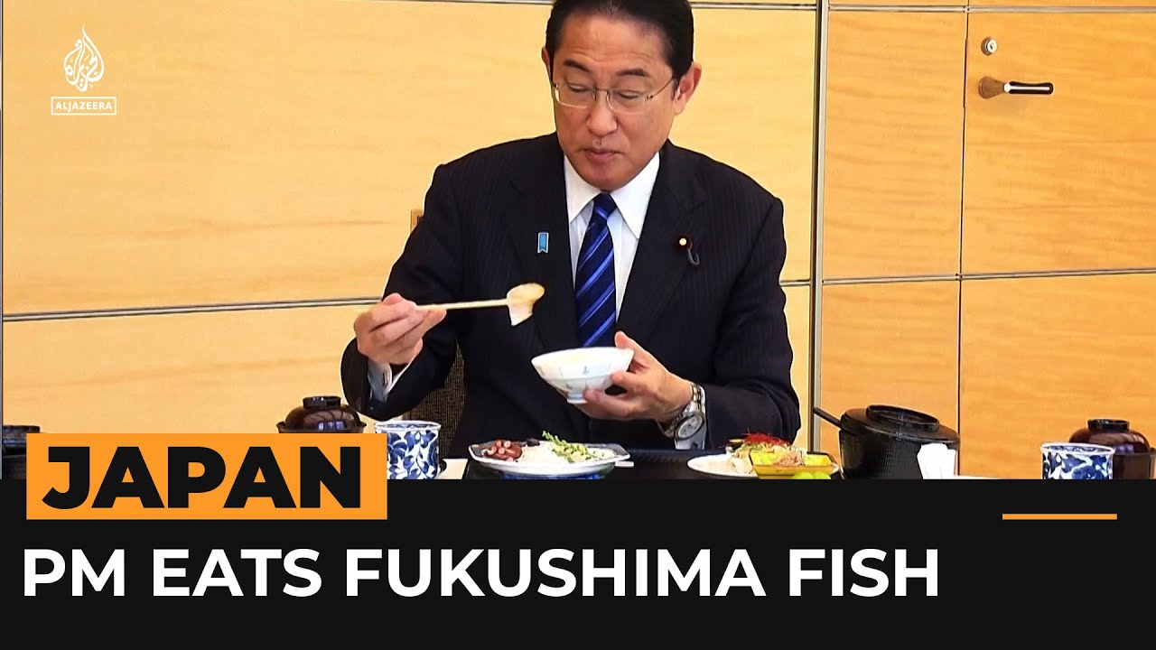 Japan PM eats fish to dispel safety concerns about Fukushima water | AJ ...