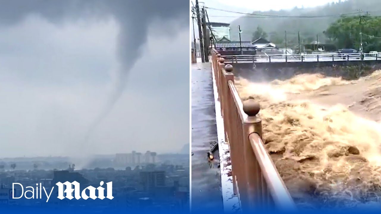 Japan weather: Typhoon causes landfall and chaos around the country ...