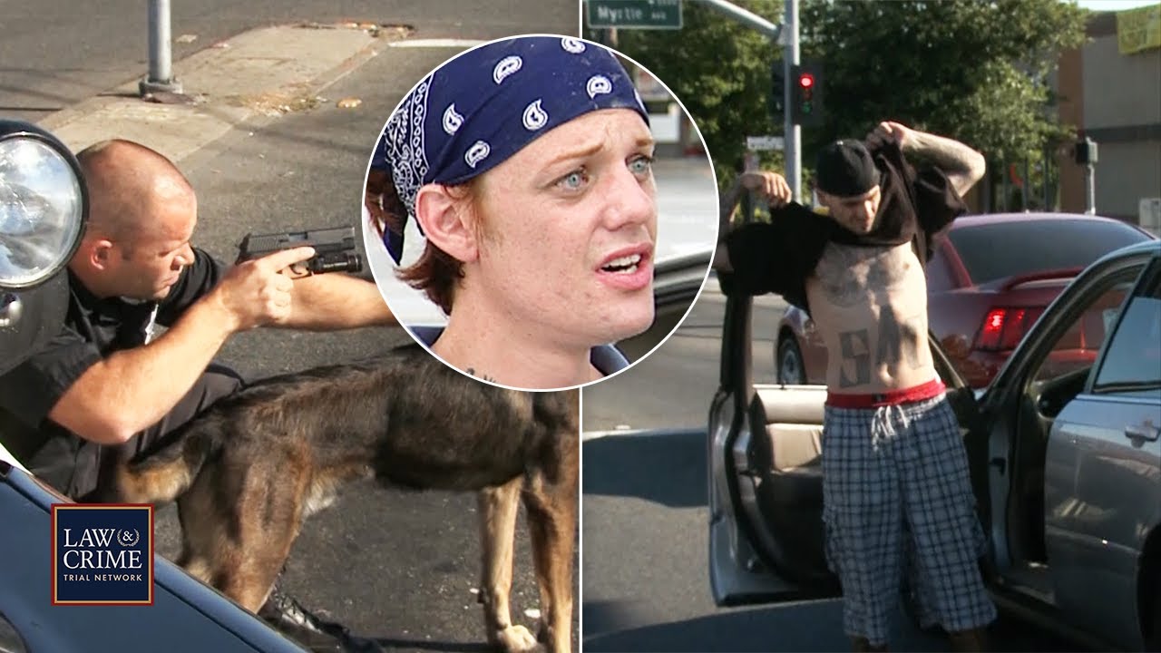 11 Most Wild Police Moments Caught On Camera Cops The Global Herald