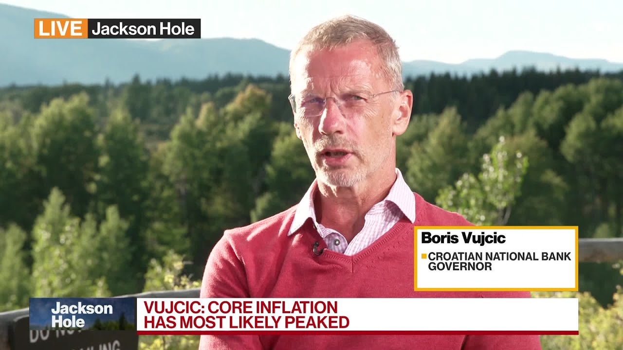 ECB’s Vujcic: More Price Data Needed to Determine Interest Rate Peak ...