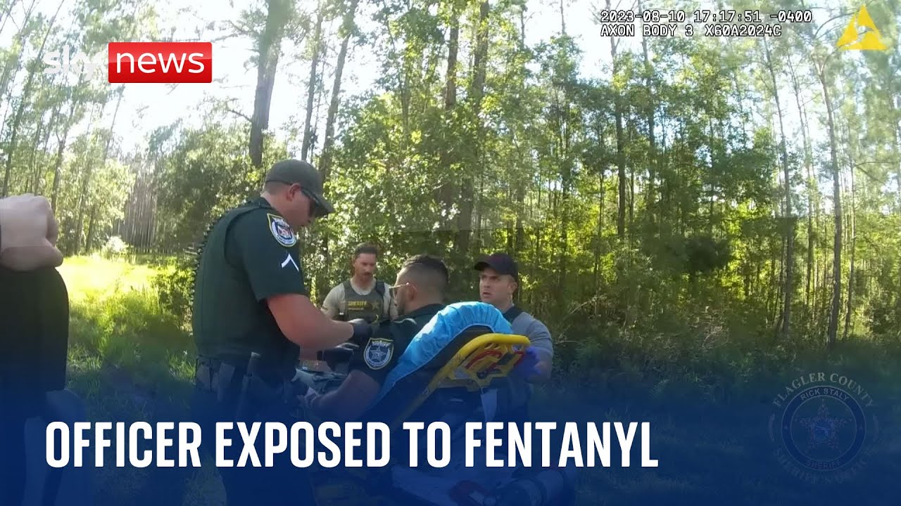 US: Police officer exposed to fentanyl during hit-and-run drugs test ...