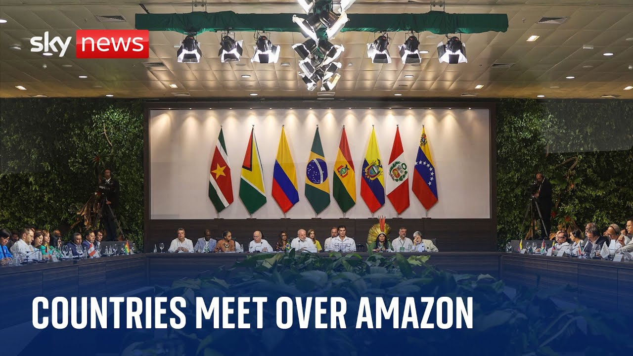 Brazil: Countries meet over protecting Amazon rainforest - The Global ...