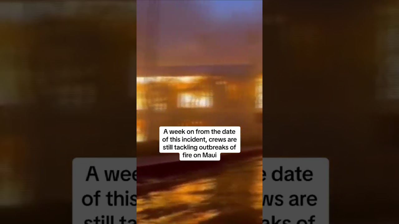 People avoid Maui fire by jumping in pool - The Global Herald