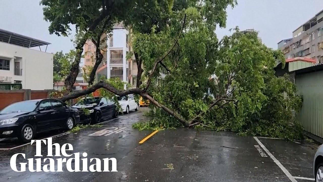 Typhoon Haikui uproots trees and triggers mudslides in Taiwan - The ...