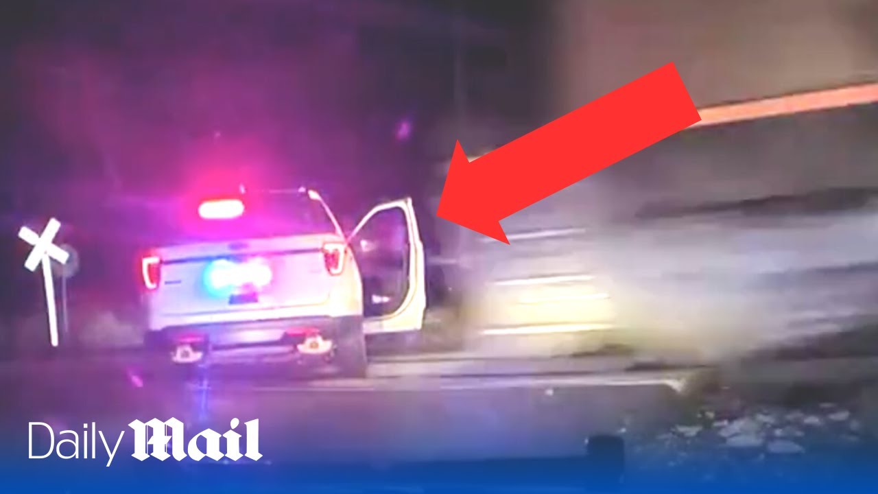 American police officer avoids jail after putting handcuffed woman in a ...