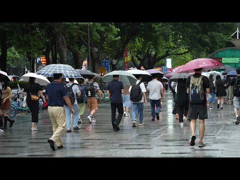 Live: Latest on Typhoon Saola and tropical storm Haikui - The Global Herald
