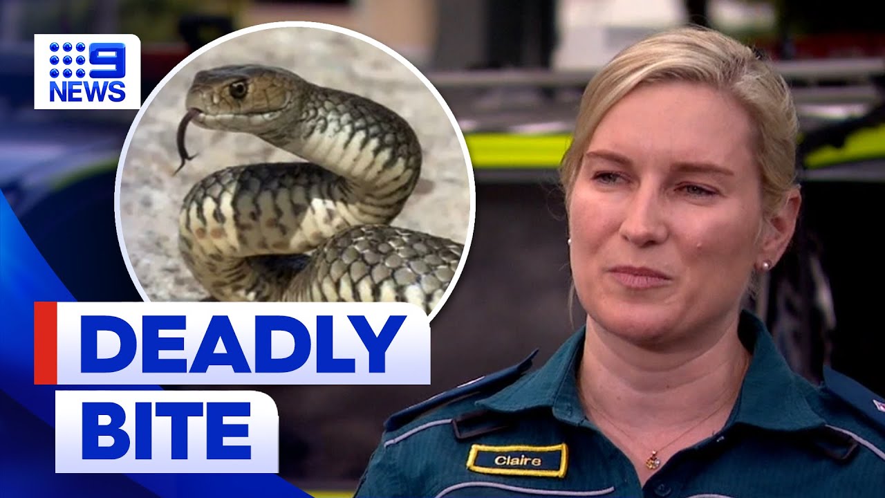 Family mourns death of father after fatal snake bite | 9 News Australia - The Global Herald