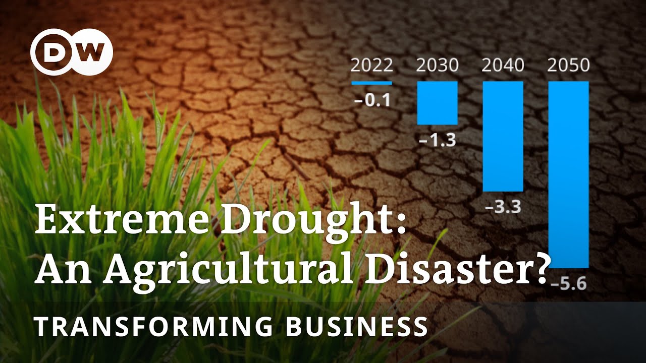 How to stop droughts from causing agricultural crises? | Transforming ...