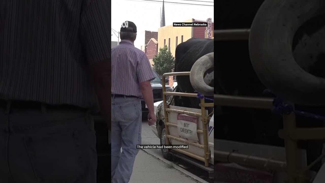 Monster bull rides shotgun | ABC News - The Global Herald