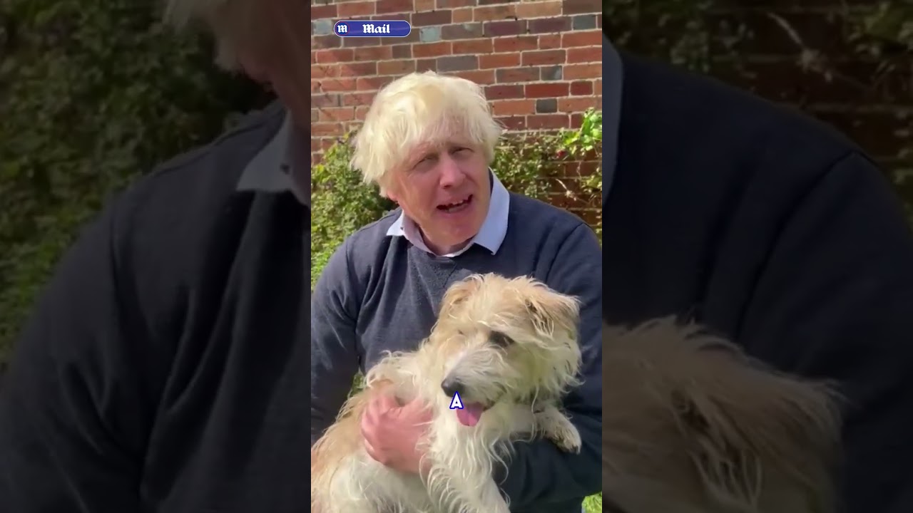 Boris Johnson has HIS say on dangerous dogs following XL bully dog ...