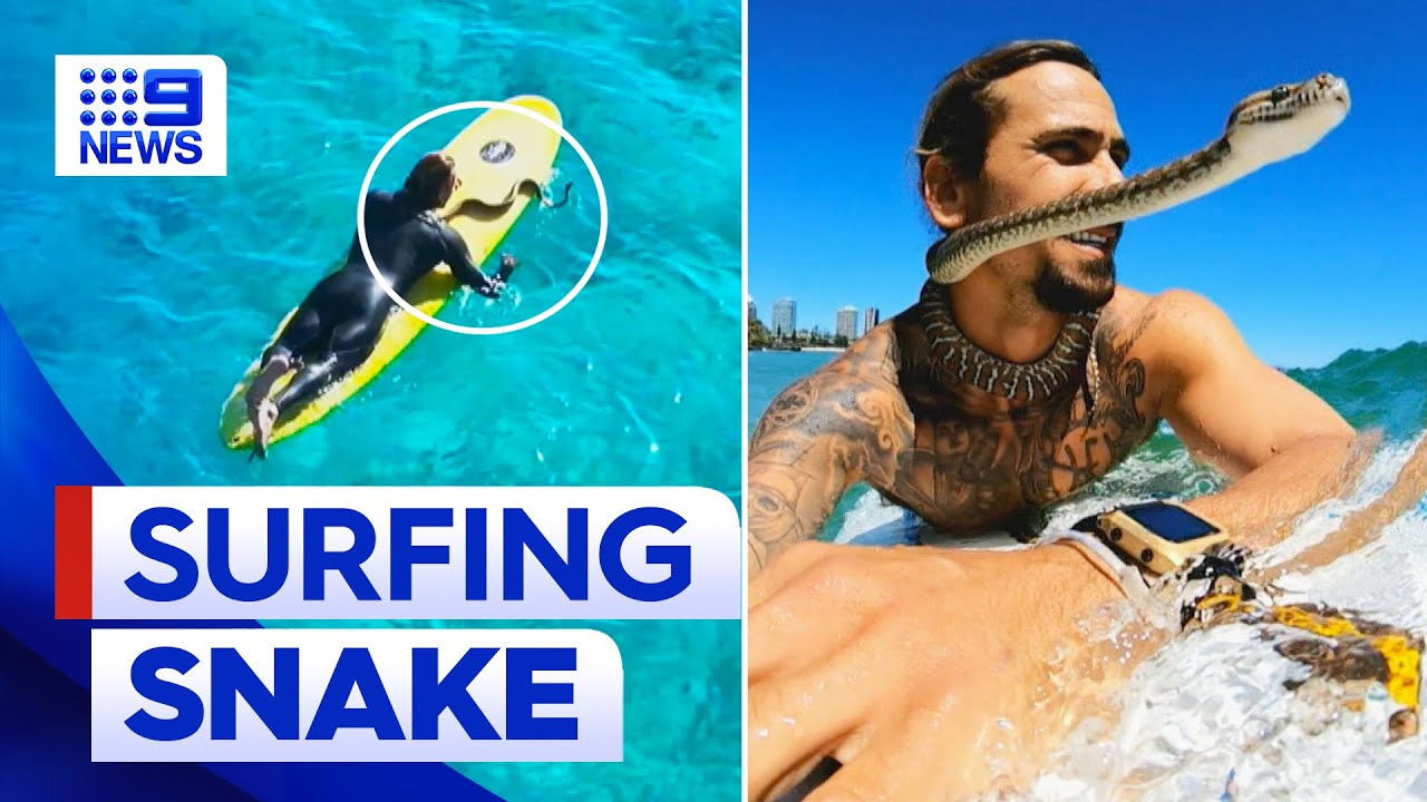 Gold Coast surfer catches waves with his pet snake | 9 News Australia ...