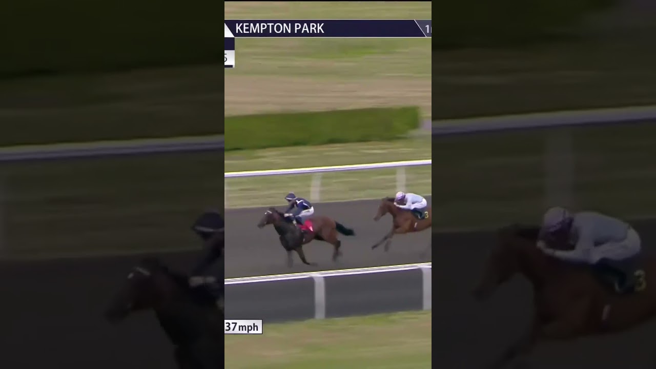 Billy Loughnane - champion jockey of the future? - The Global Herald