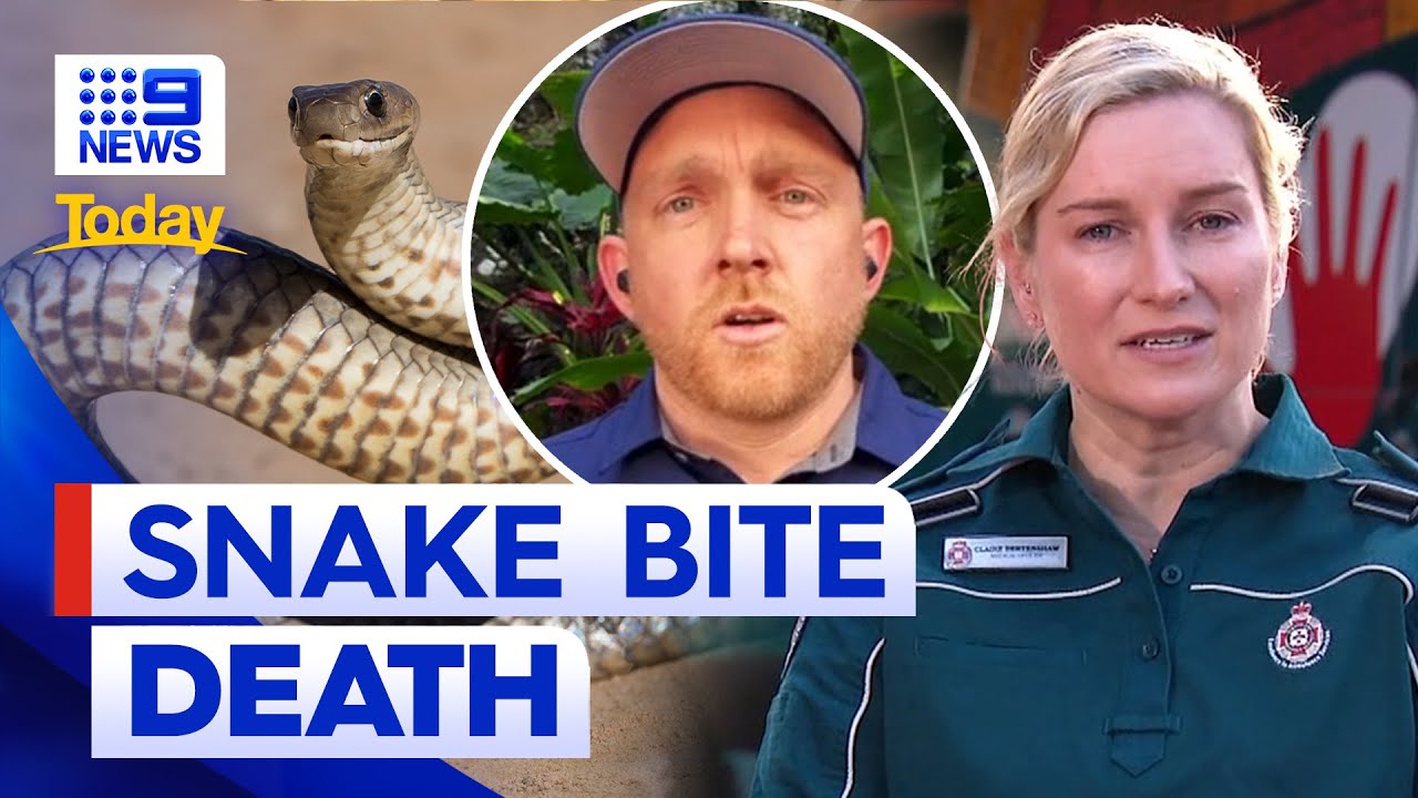 Snake season warning after man killed saving friend | 9 News Australia ...