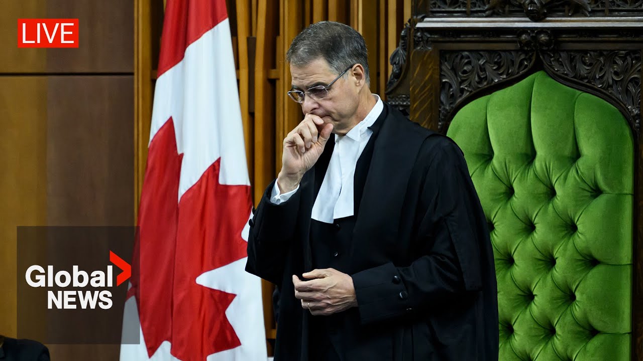 Canadian MPs face questions after Ukrainian veteran who fought for ...