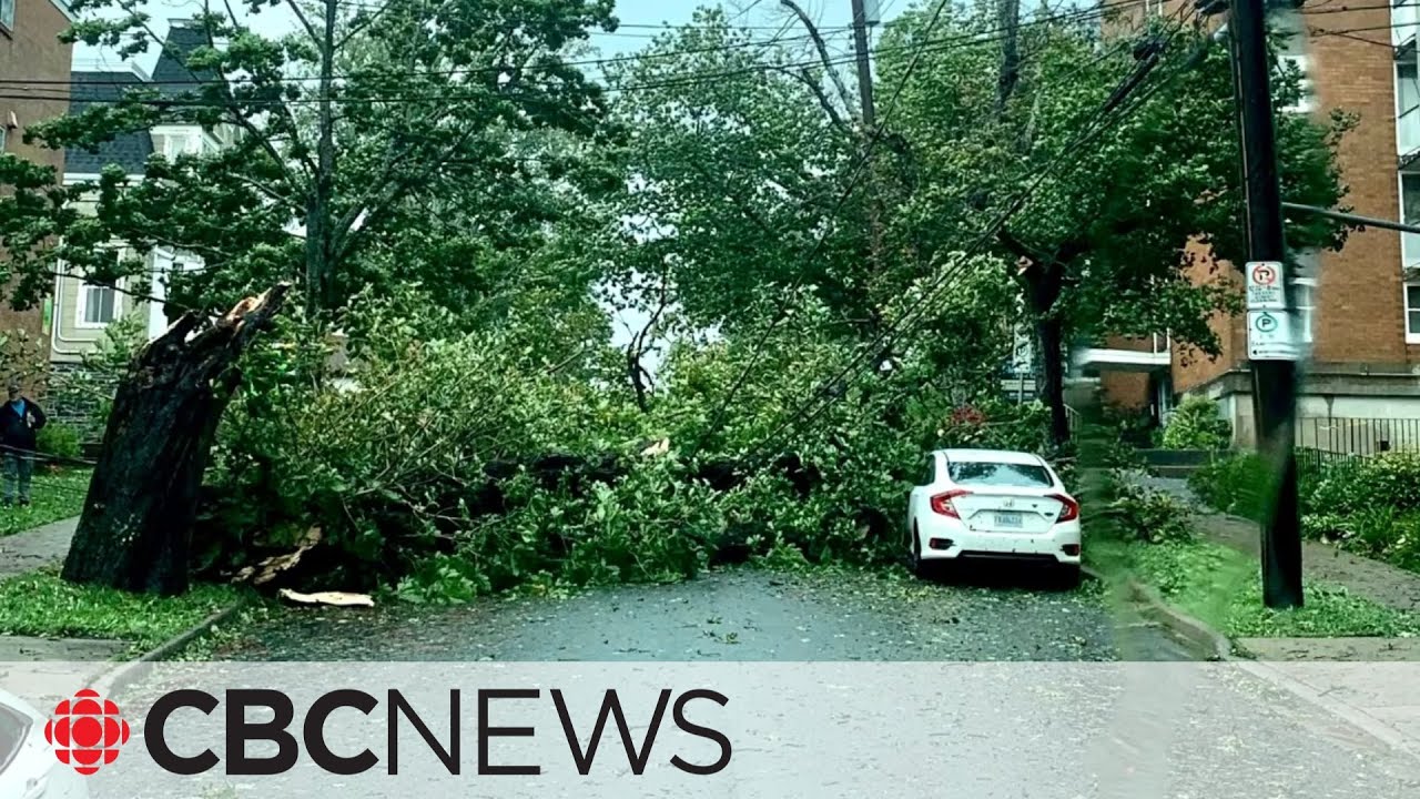 Lee leaves behind downed trees, toppled hydro lines and washed-out ...