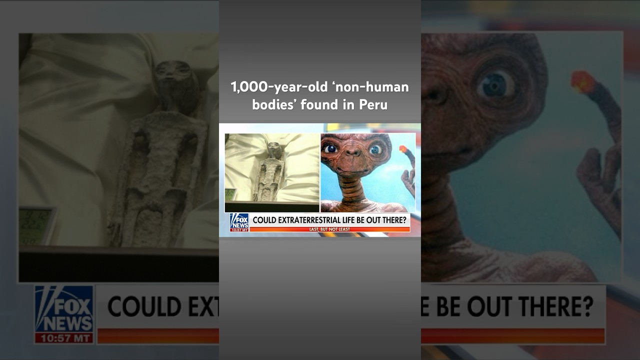 ‘Maybe ET is real?!’: Self-proclaimed UFO expert discovers ‘non-human ...