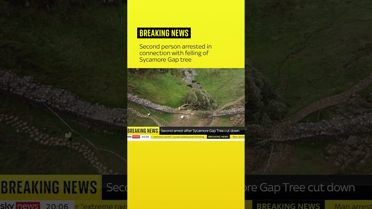 Second person arrested in connection with felling of iconic landmark ...